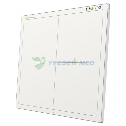 Flat Panel Detector Digital X-Ray