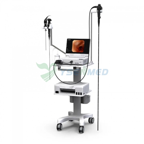 YSVET-VHP1315 All-In-One Portable & Multi-Functional Endoscope