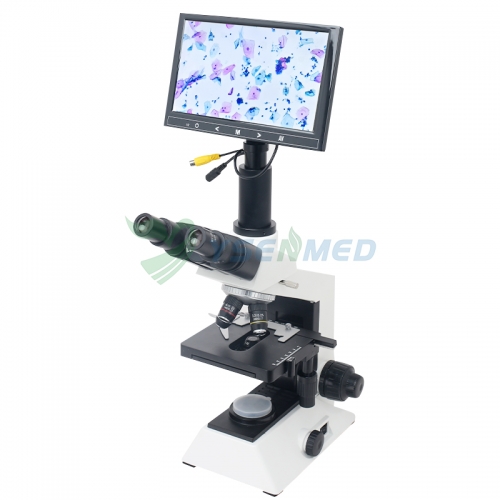 Binocular Microscope With Display Screen