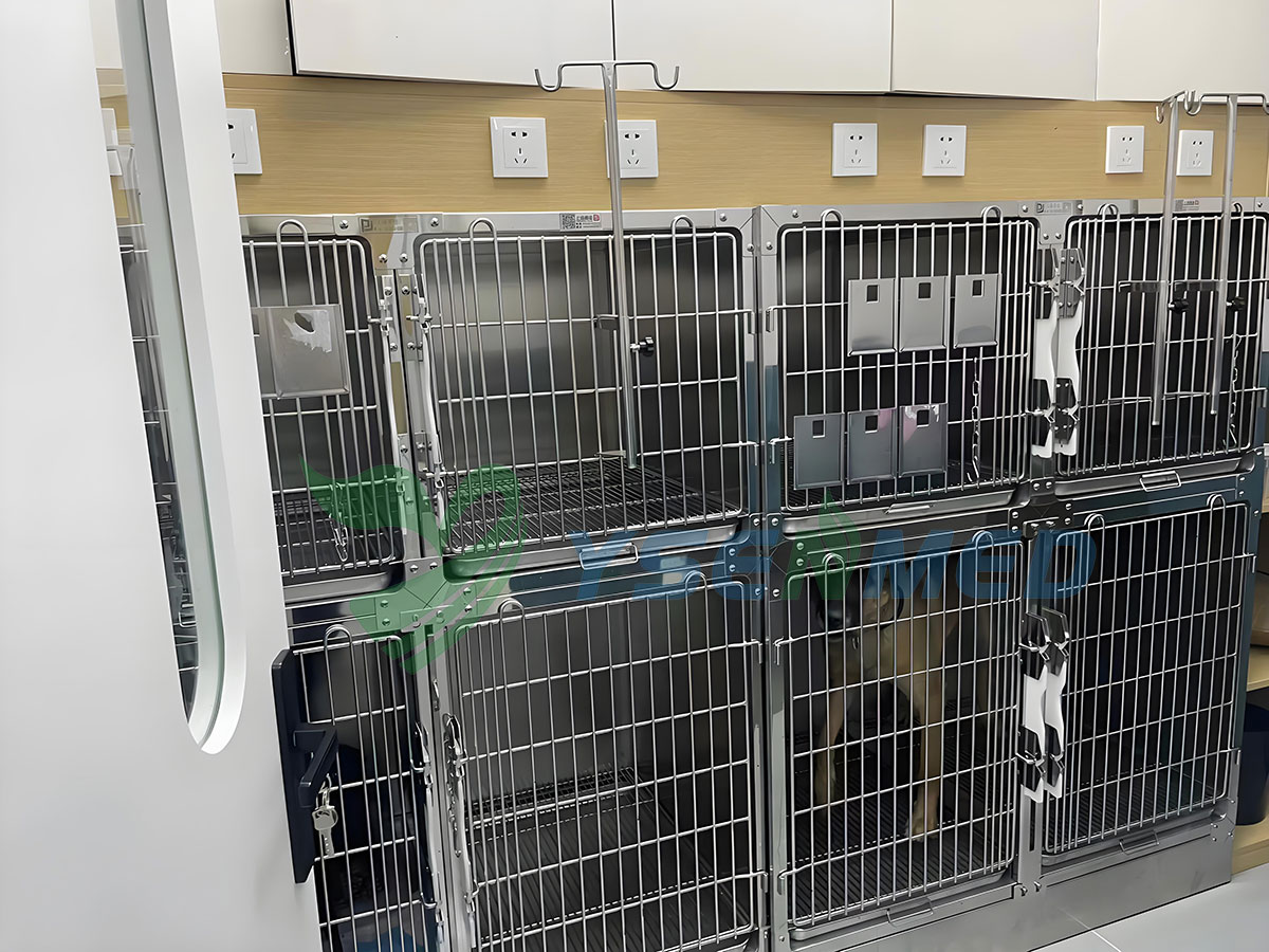 The Evolution and Future Trends of the Global Veterinary Cages Market ...