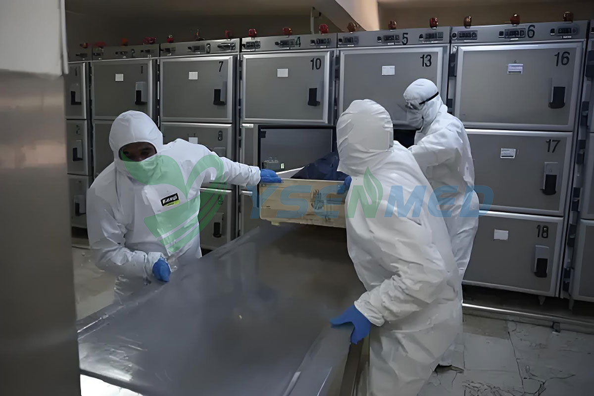 The Global Evolution of Freezer Morgue Technology: Trends, Innovations ...